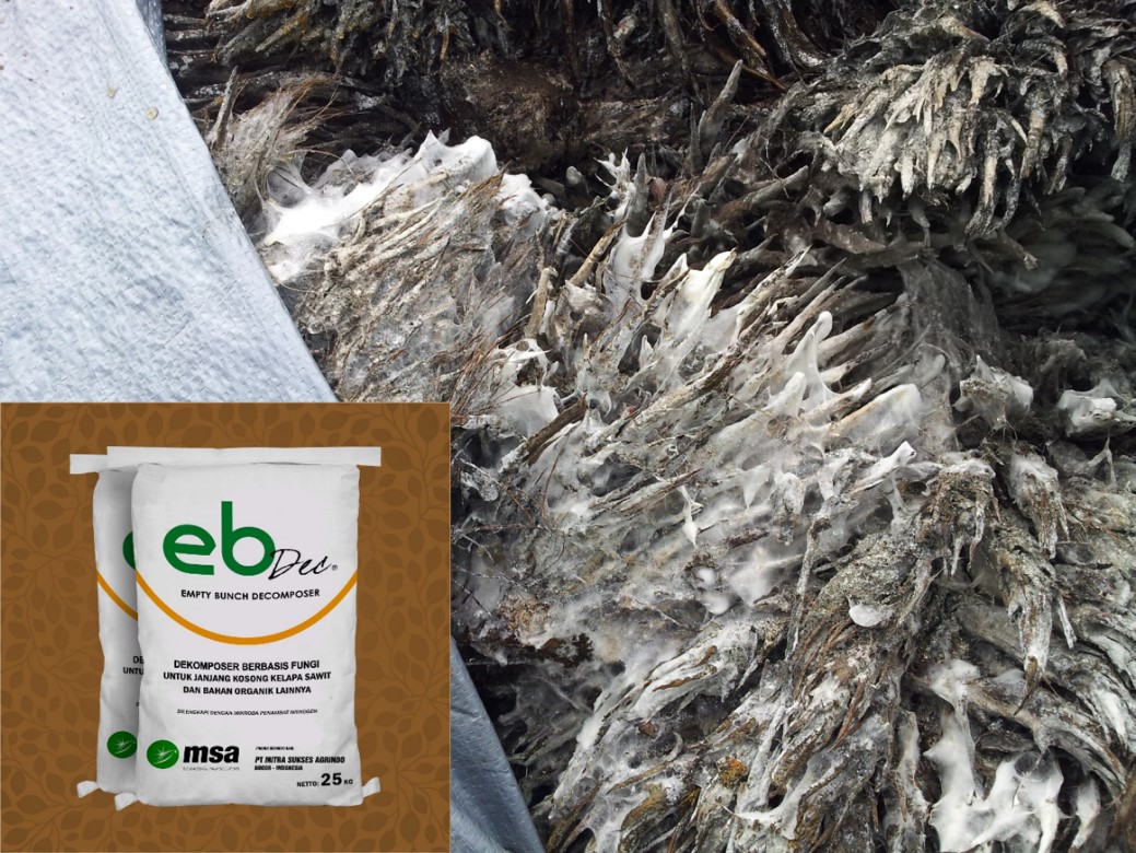 Tips Jitu Undang Cacing Tanah Dengan Tandan Kosong (Tankos) Kelapa ...