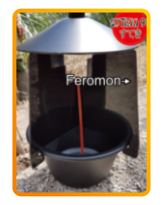 Feromon Sawit Suteki - Rizki Agro Sejahtera